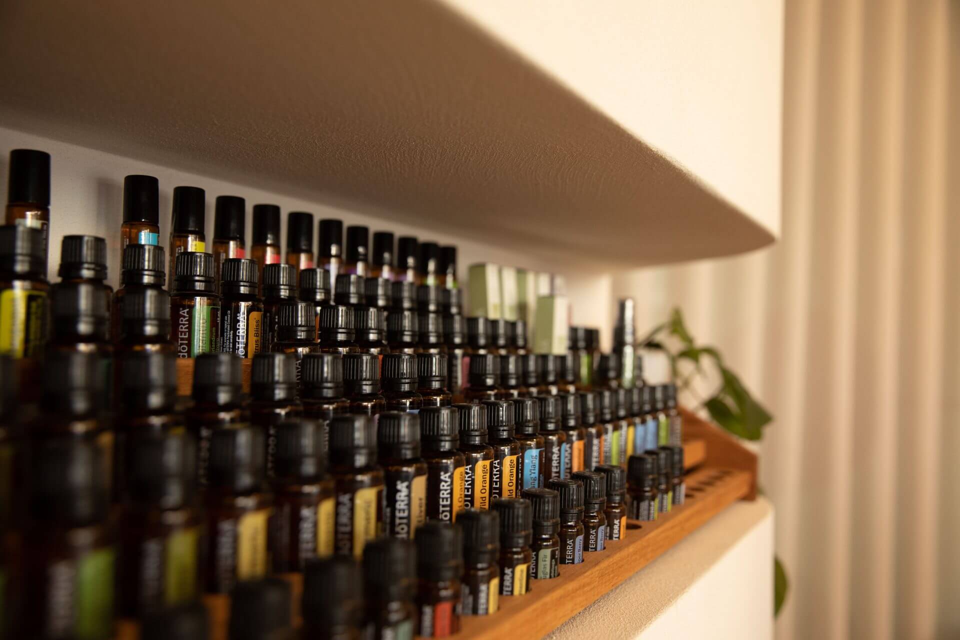 How do Essential Oils work? Easy hints and tips for beginners. | PhClinic